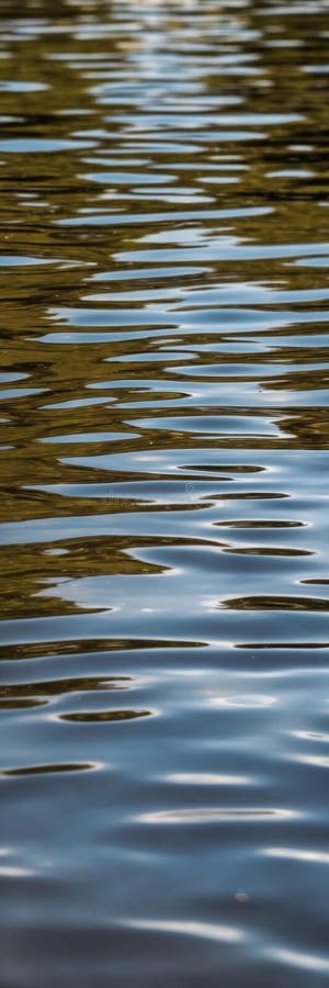 Reflective Water Surface with Ripples Catching Light and Movement Stock ...