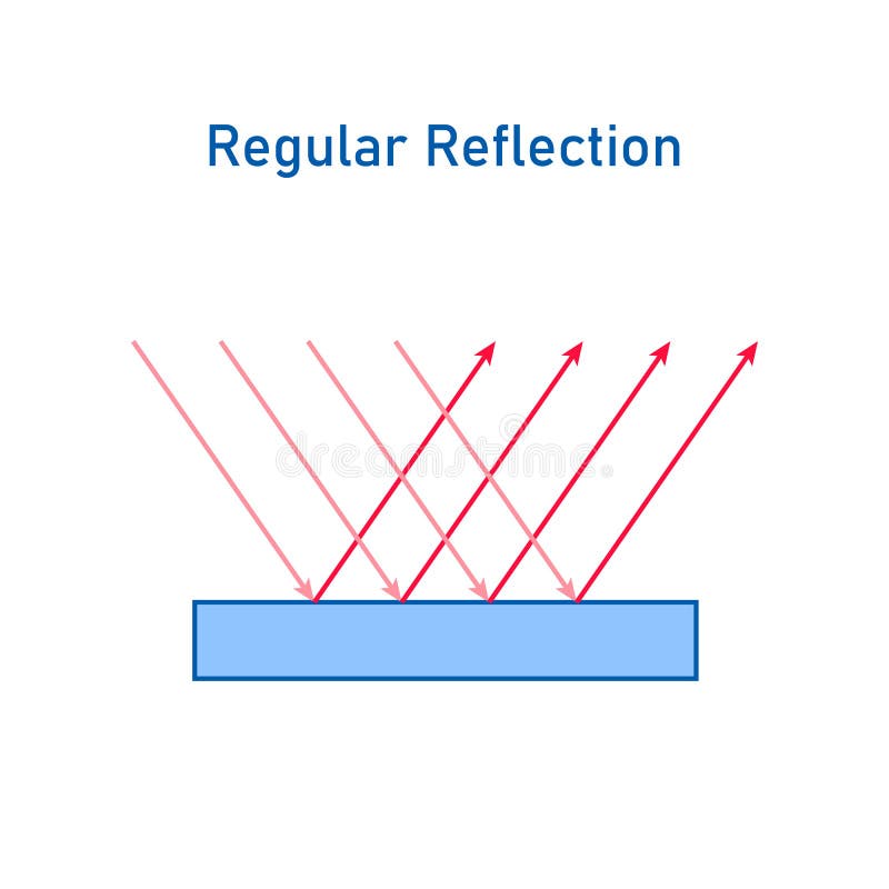 Reflexión Regular Del Diagrama De Luz. Ilustración del Vector ...
