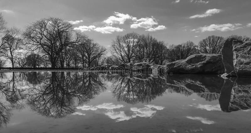 Reflexion fotografering för bildbyråer. Bild av bankirer - 90070705