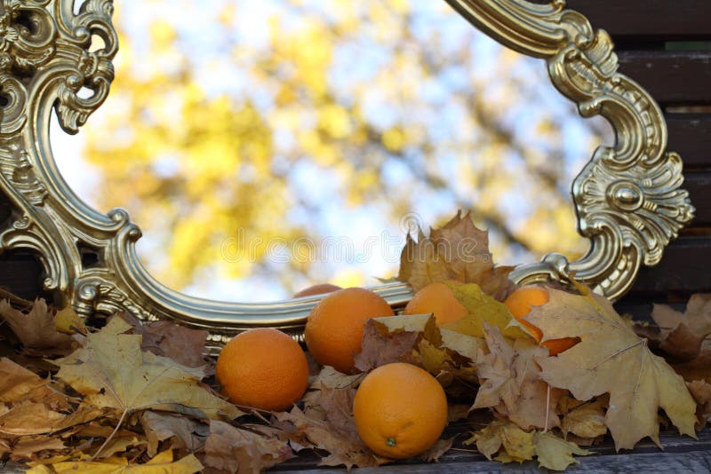 Car Mirror Autumn Road Reflection Stock Image - Image of leaves, detail ...