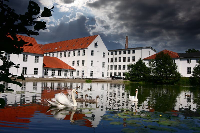 Swan and Traditional Building Built in Front of a Lake in Denmark Stock ...