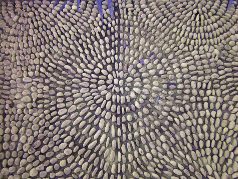 The reflexology stock image. Image of foot, reflexology - 55720179