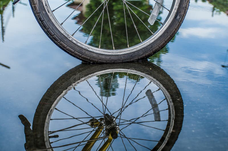 Reflextion of wheel stock image. Image of leaves, reflection - 75166641