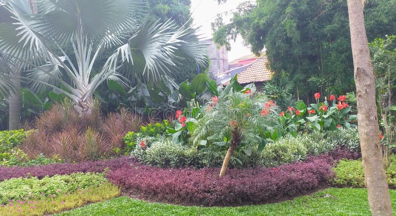 Reforestation of City Parks Stock Photo - Image of produce, shrub ...