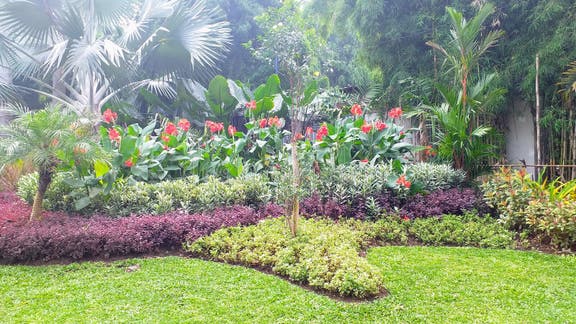 Reforestation of City Parks Stock Image - Image of plant, plantation ...