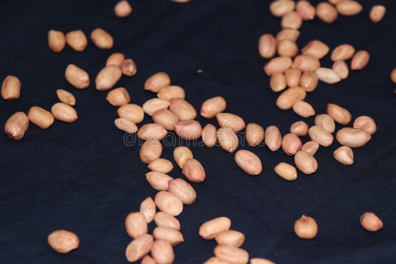 Refresh Dried Peanut with Blue Background Stock Image - Image of ...