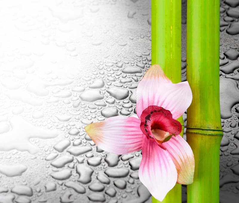 Refreshing stock image. Image of design, bath, meditation - 29492967