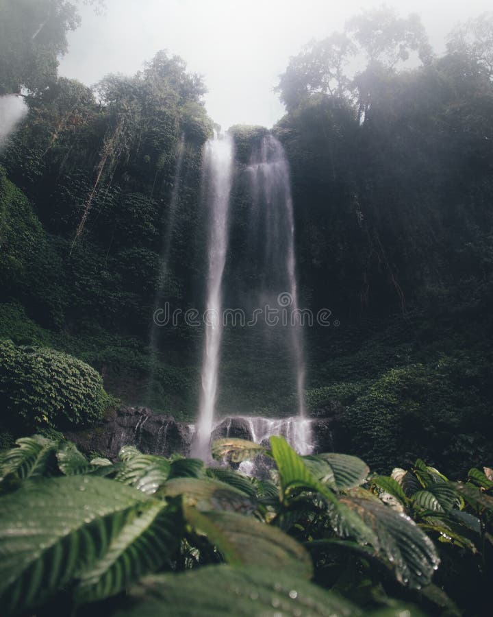 Refreshing Cascade the Breathtaking Beauty of a Waterfall Stock Photo ...