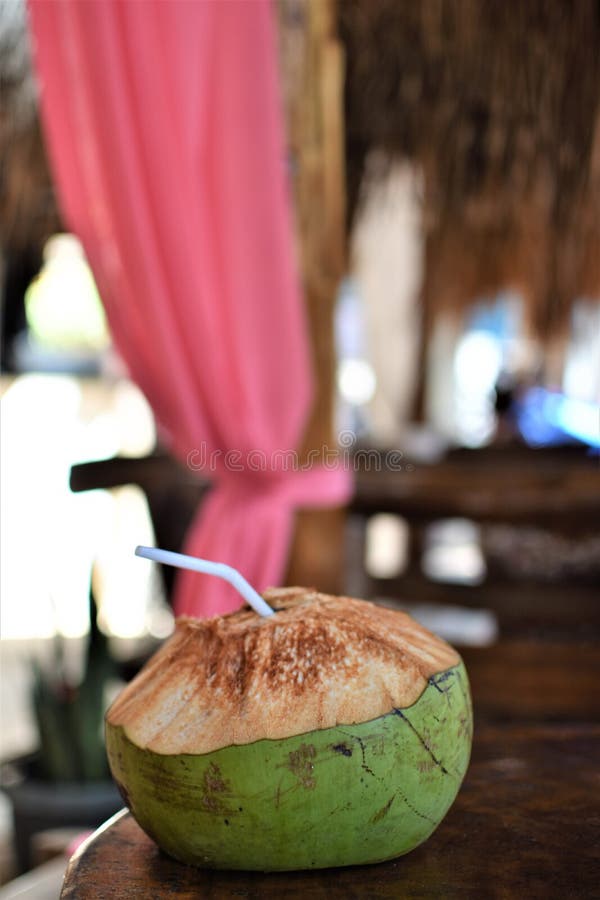 Refreshing Coconut Water Served with the Shell Stock Photo - Image of ...