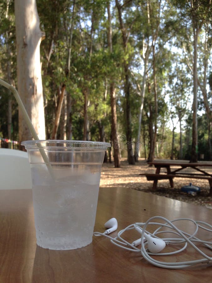 Refreshing Drink at the Park Stock Photo - Image of drink, forest: 42895868