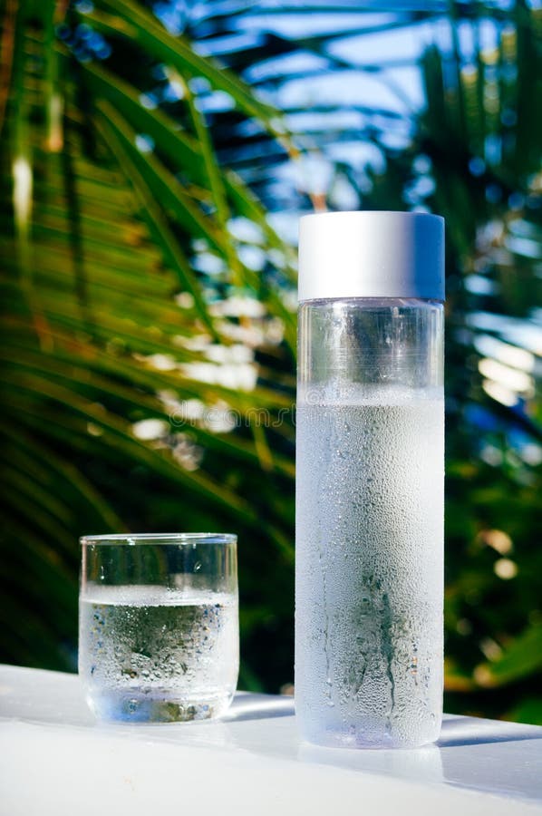 Refreshing Drinkable Cold Water In The Bottle Cold Water With Tropical