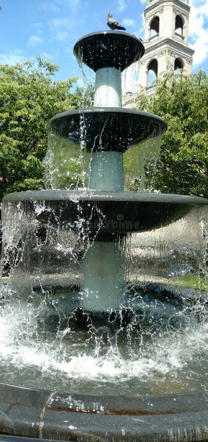 A Refreshing Feeling in a Summer Day Stock Image - Image of summer ...