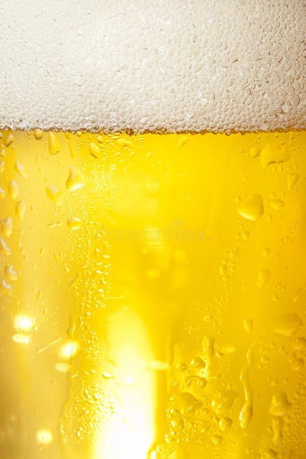 Cold Icy Beer Bottles stock photo. Image of glass, alcoholic - 130389582