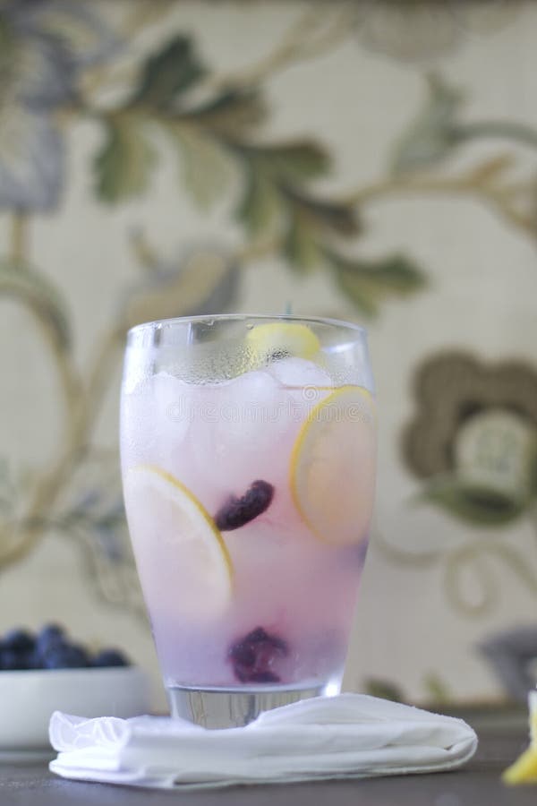 Lemon Blueberry Cooler stock photo. Image of cooler, mixology - 30304774