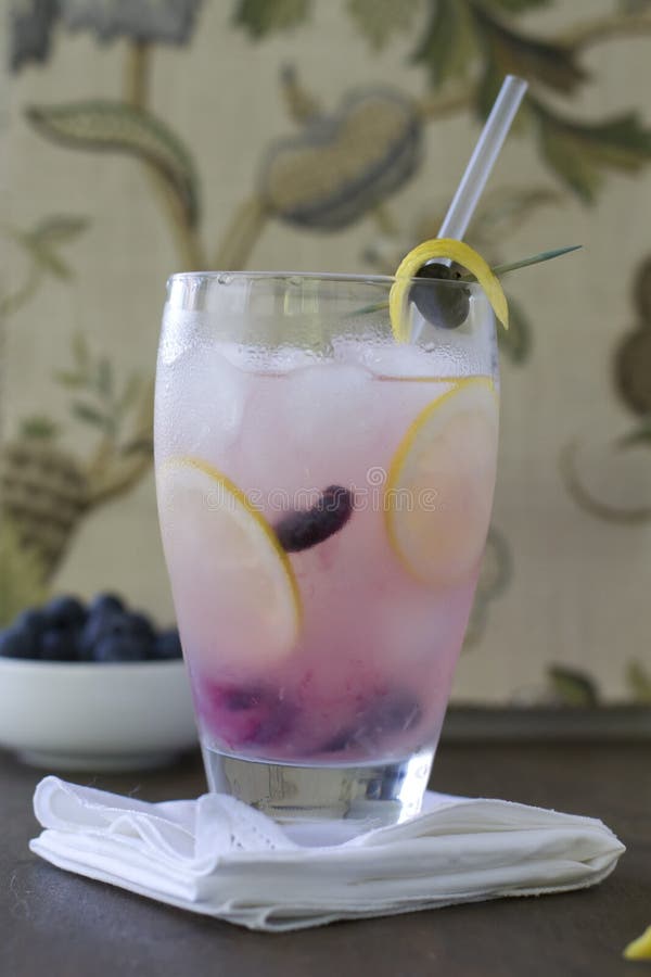 Lemon Blueberry Cooler stock image. Image of sweet, lemon - 30304779