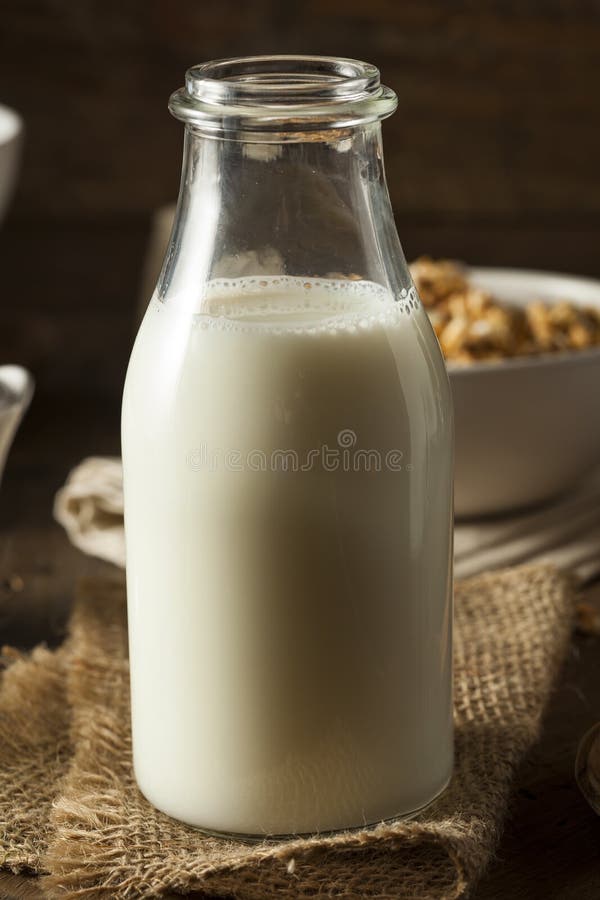 Refreshing Organic White Whole Milk Stock Image - Image of pitcher ...