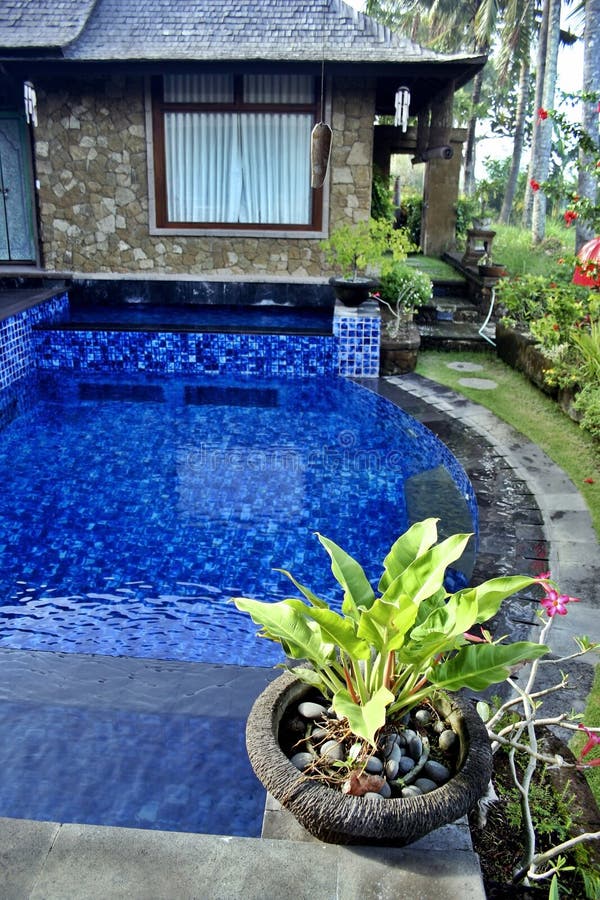 Refreshing Pool stock photo. Image of relaxation, travel - 2667302