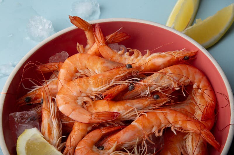 Refreshing Seafood, Oceanic Cuisine, Concept for Nutritional Guides or ...