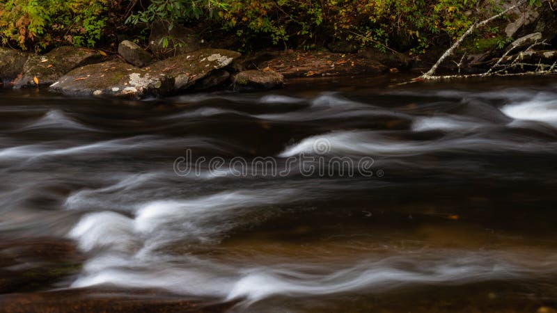 Refreshing Stream Hidden Deep in the Autumn Forest Stock Image - Image ...