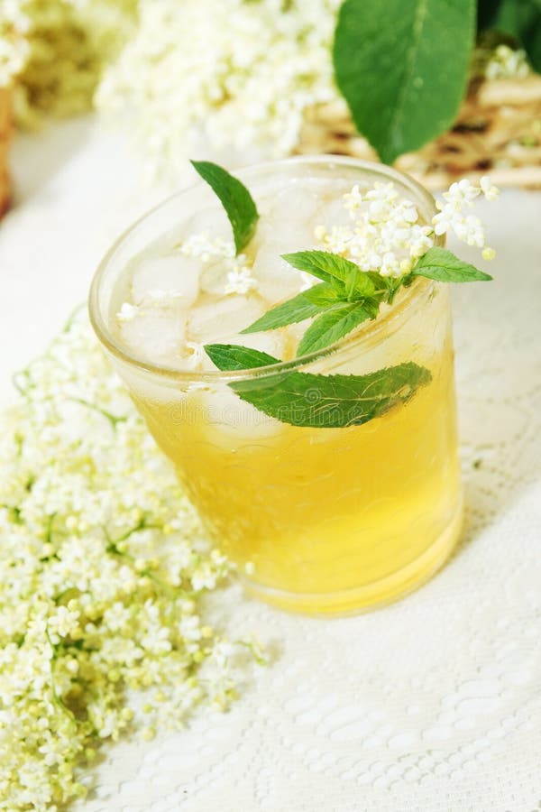 Green tea stock photo. Image of drink, dieting, green - 3945814