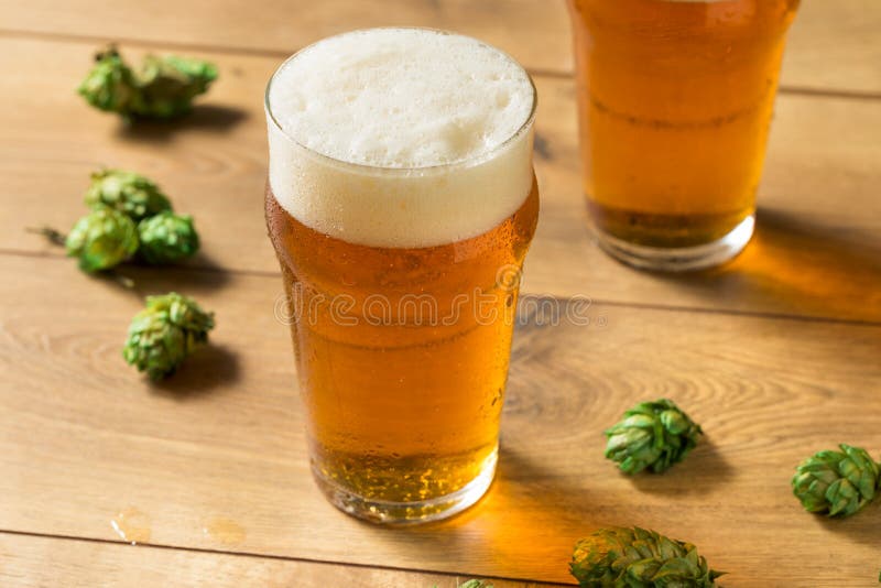 Refreshing Summer IPA Craft Beer Stock Image - Image of beverage, gold ...