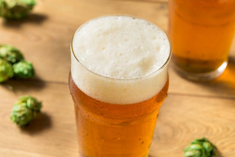 Refreshing Summer IPA Craft Beer Stock Image - Image of beverage, craft ...