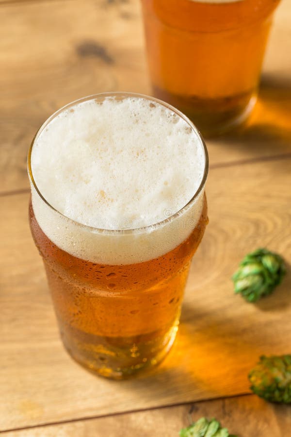 Refreshing Summer IPA Craft Beer Stock Image - Image of flight, cider ...