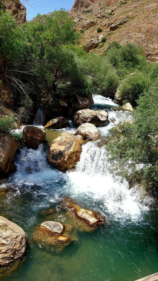 Refreshing Water Seeping through Rocks and Trees. Stock Image - Image ...