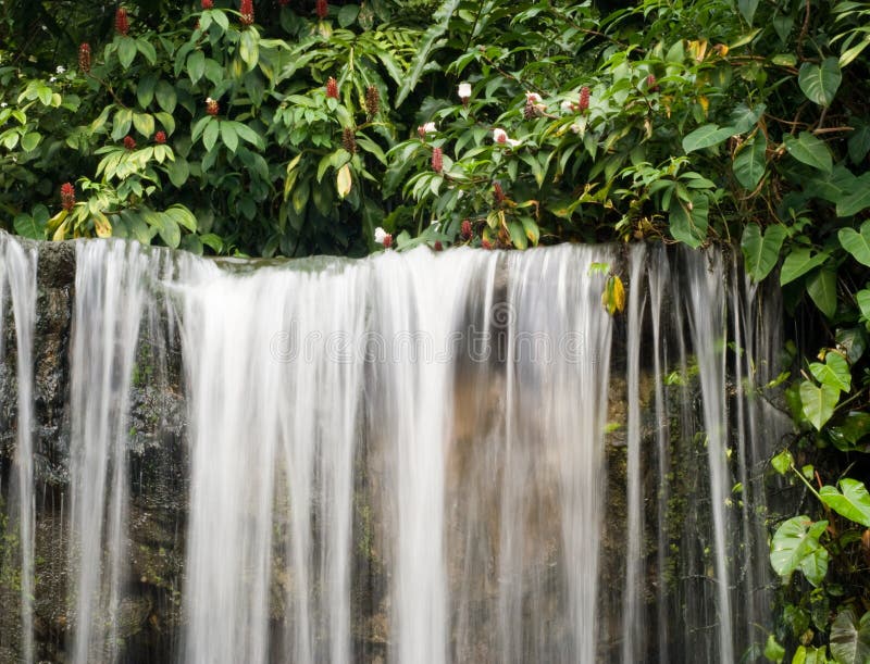 Refreshing waterfall stock photo. Image of plant, scenery - 7102050
