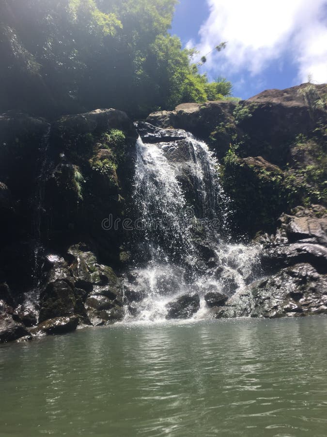 Refreshing waterfall stock photo. Image of flowers, greenery - 739858