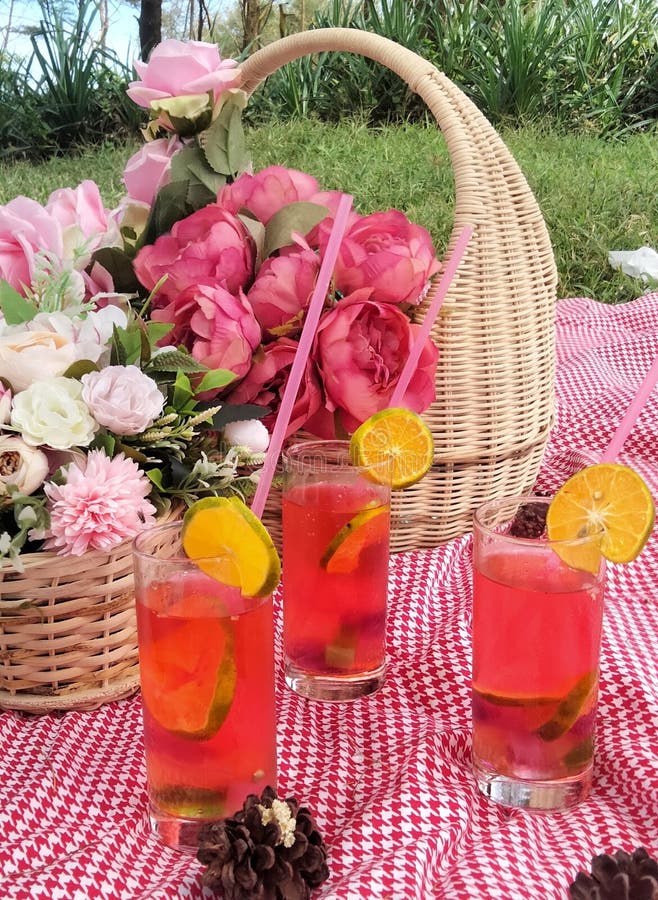 Refreshing Watermelon Lemonade Drinks and Garnishes Stock Image - Image ...