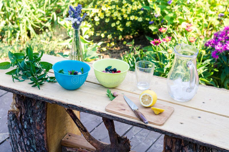 Refreshment Fruit Drink, Ingredients for Preparation Stock Image ...