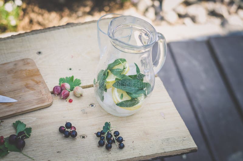 Refreshment Fruit Drink, Ingredients for Preparation Stock Image ...