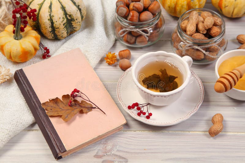 Refreshment stock photo. Image of table, hazel, nutshell - 61761016