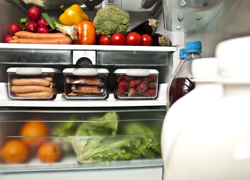 Opened refrigerator stock photo. Image of fridge, garden - 50514036