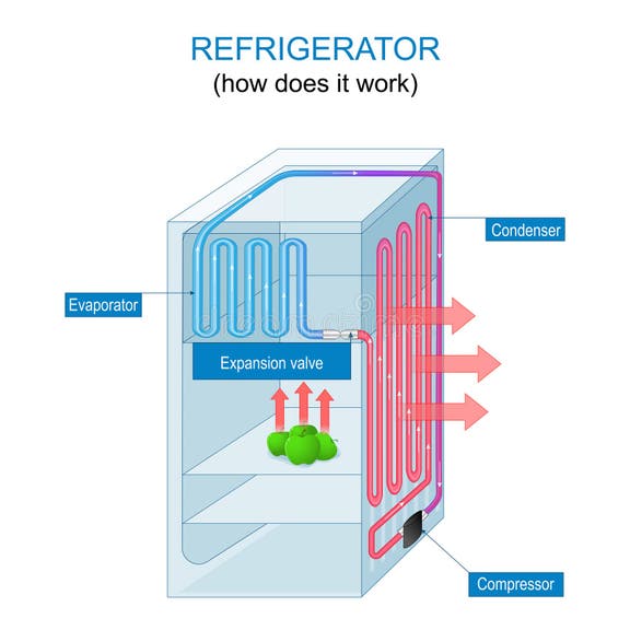 Refrigerator Working Principle. How Does a Fridge Work Stock Vector ...