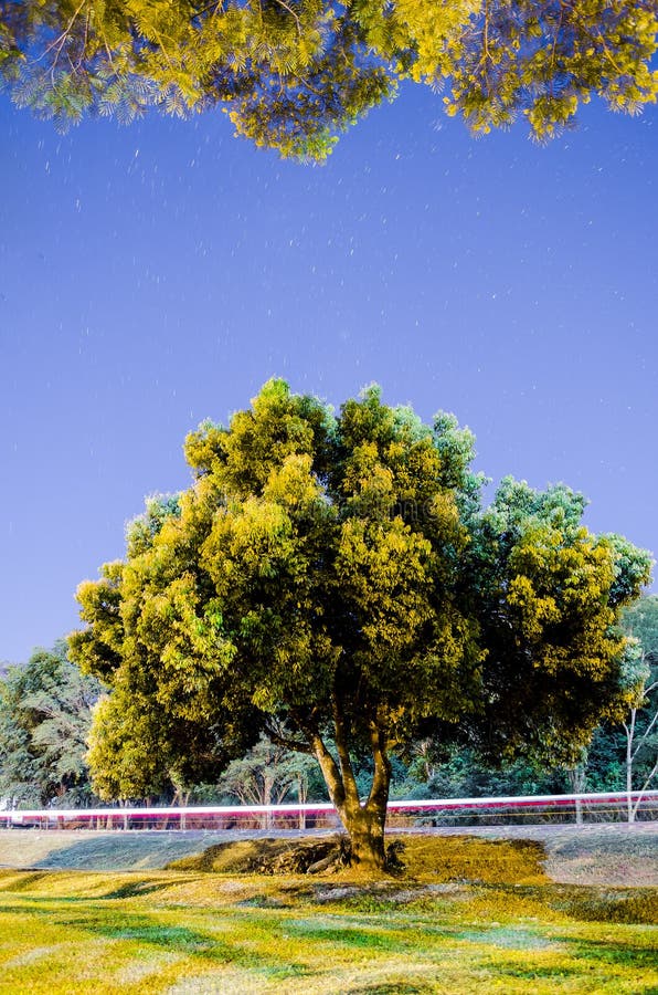 Regado de Bien foto de archivo. Imagen de estrellas, verde - 93549080