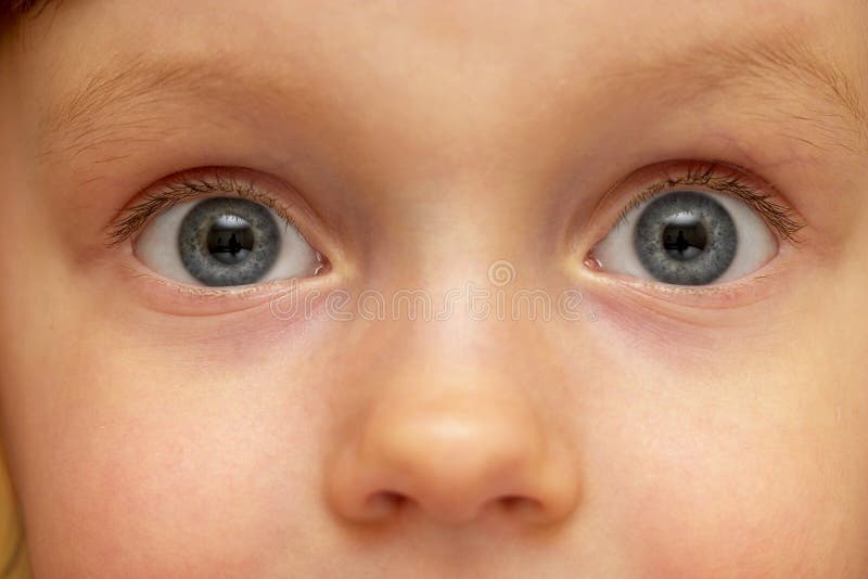 Regard D'enfant Au Beignet Sur Le Blanc Petite Fille Avec Le Beignet ...