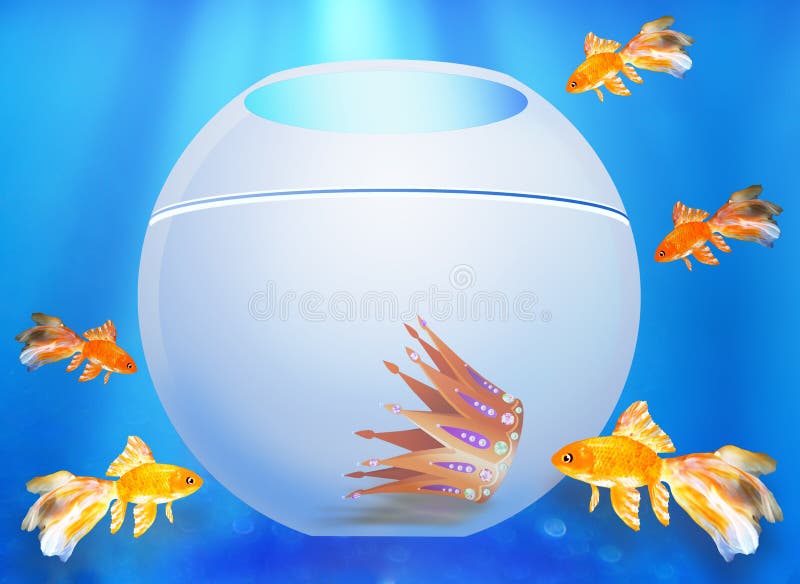 Regard De Cinq Poissons Rouges Dans Un Aquarium Illustration Stock ...