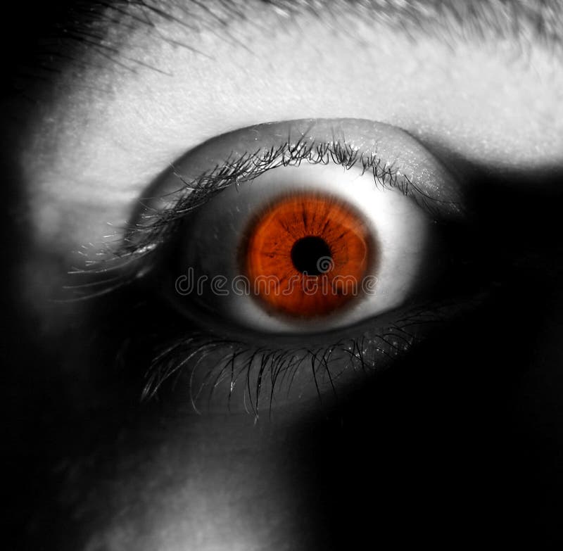 Oeil rouge de sang photo stock. Image of furieux, bizarre - 31582458