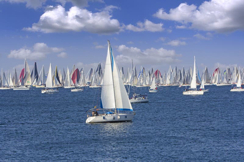 Regata Barcolana Nel Golfo Di Trieste Immagine Stock - Immagine di ... Regata Barcolana Nel Golfo Di Trieste Immagine Stock - Immagine di ...