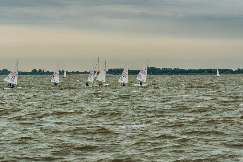 Sailors Compete on Rowing Boats. Editorial Image - Image of muscles ...