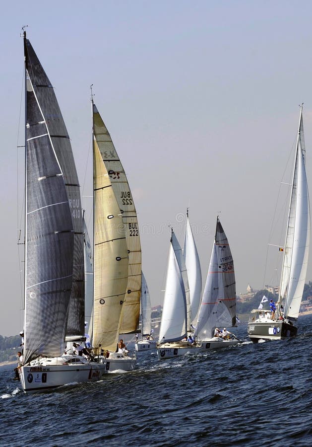 Sailing race editorial photo. Image of courageous, maneuvering - 13358196