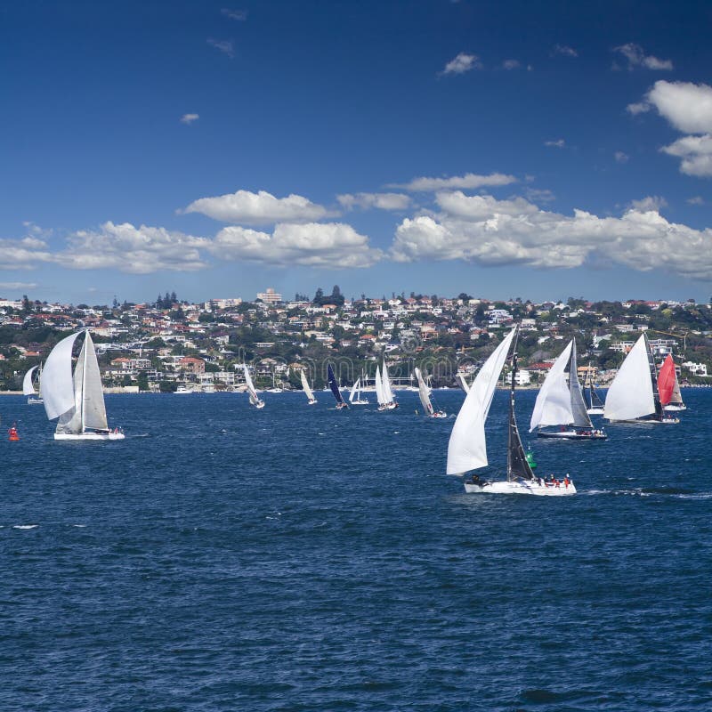Regatta sail boats stock photo. Image of freedom, race - 15756474