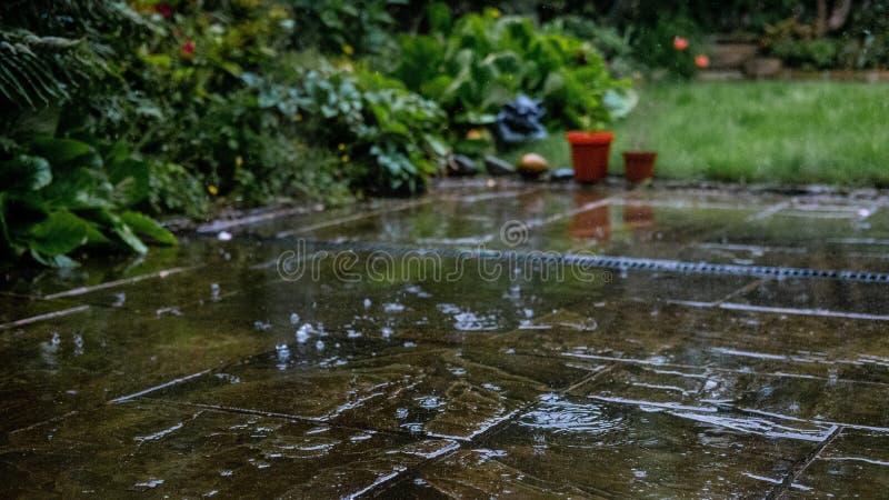 Regen stockbild. Bild von regen, pfütze, hinterhof, garten - 95164931