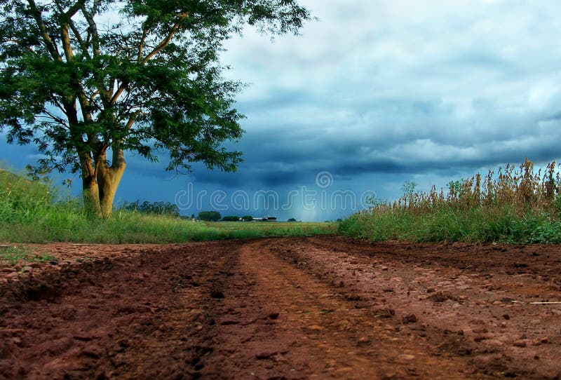 De Heilige Vliegen Van De Geestvogel in Hemel, Helder Licht Glanst Van ...