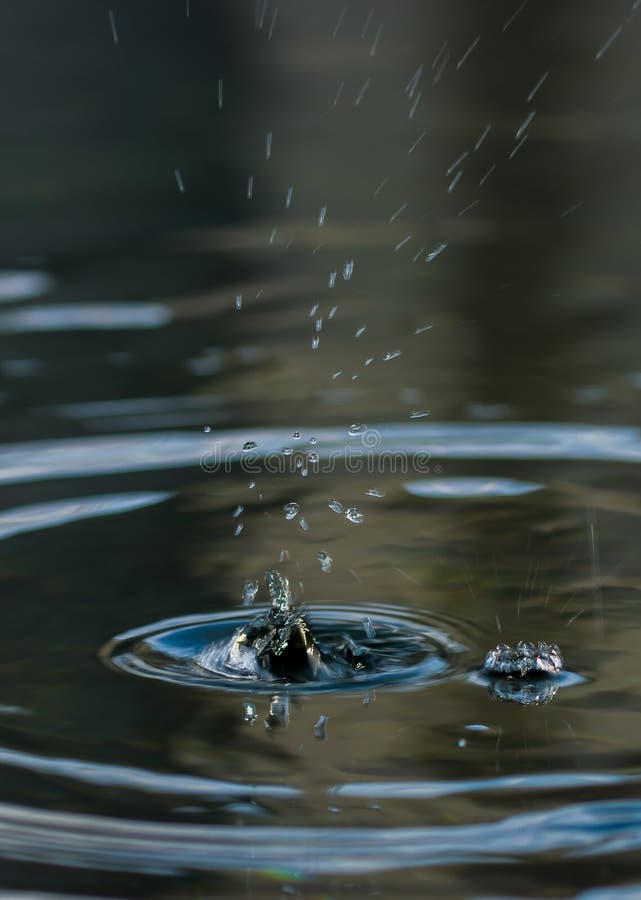 Regendruppels in Water stock foto. Image of schoon, vrede - 50169344