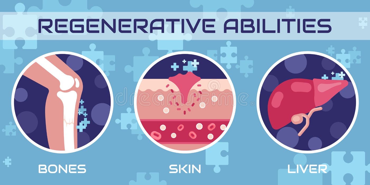 Regenerative Medicine Stock Illustrations – 1,529 Regenerative Medicine ...