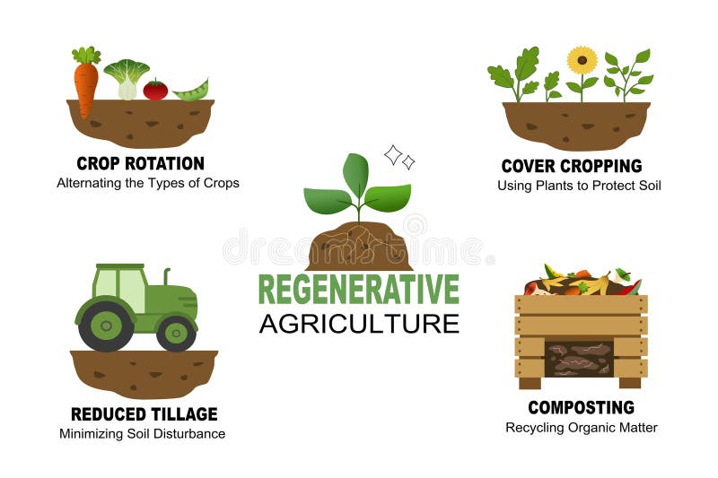 Reduced Tillage Stock Illustrations – 14 Reduced Tillage Stock ...