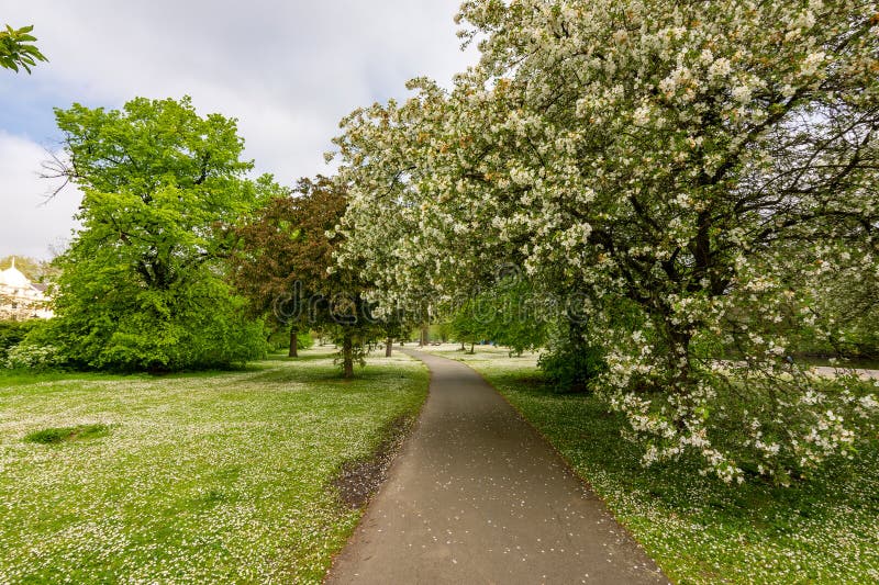 Regent S Park Landscape in Spring, London, UK Stock Illustration ...
